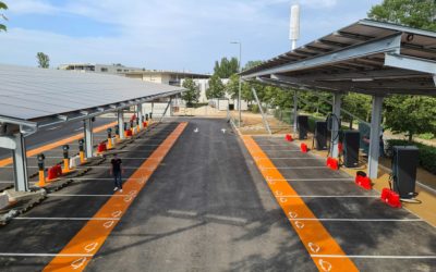 Actus - Delta Sertec